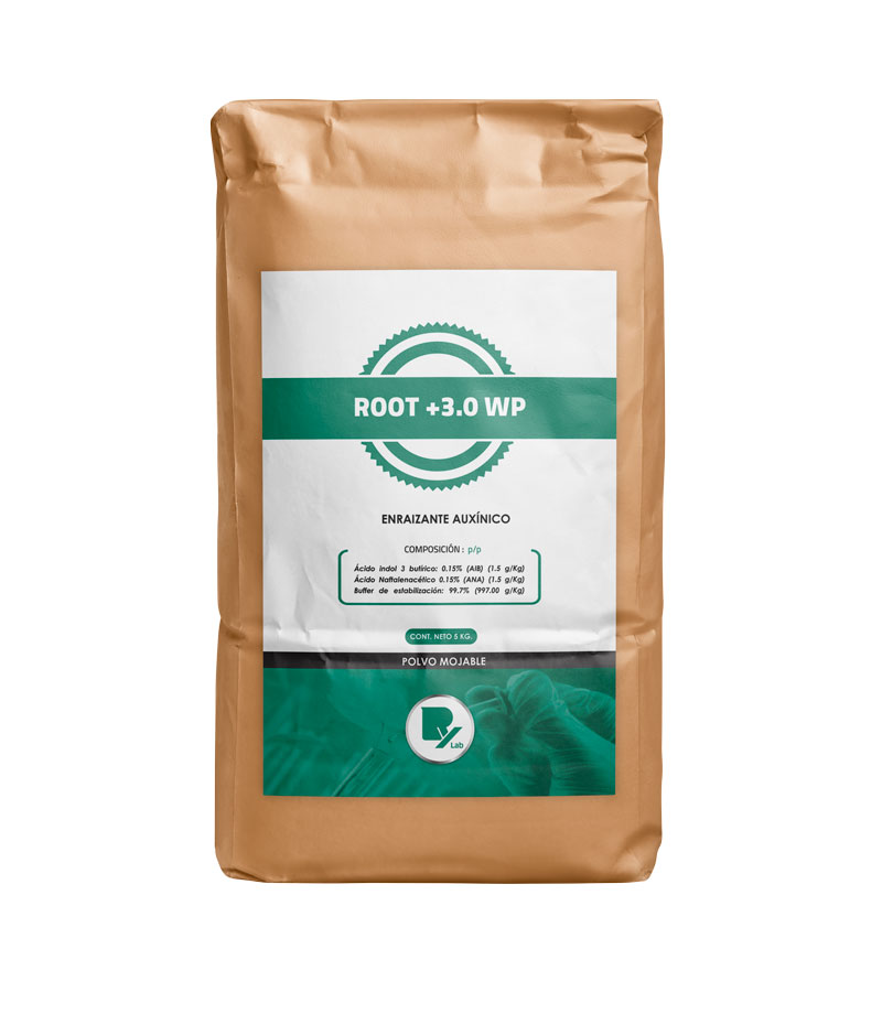 ROOT +3.0 WP - Raúl Yaipén Lab